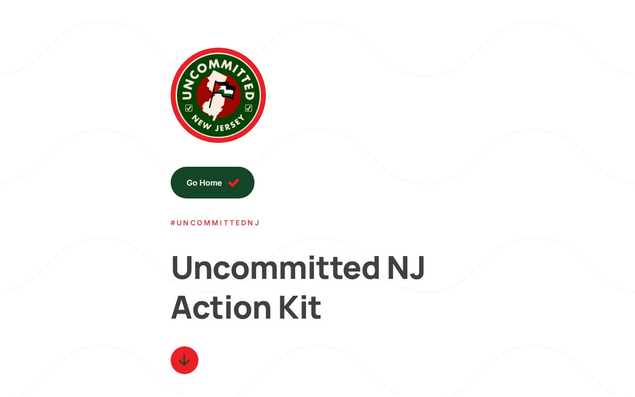Uncommitted NJ Action Kit